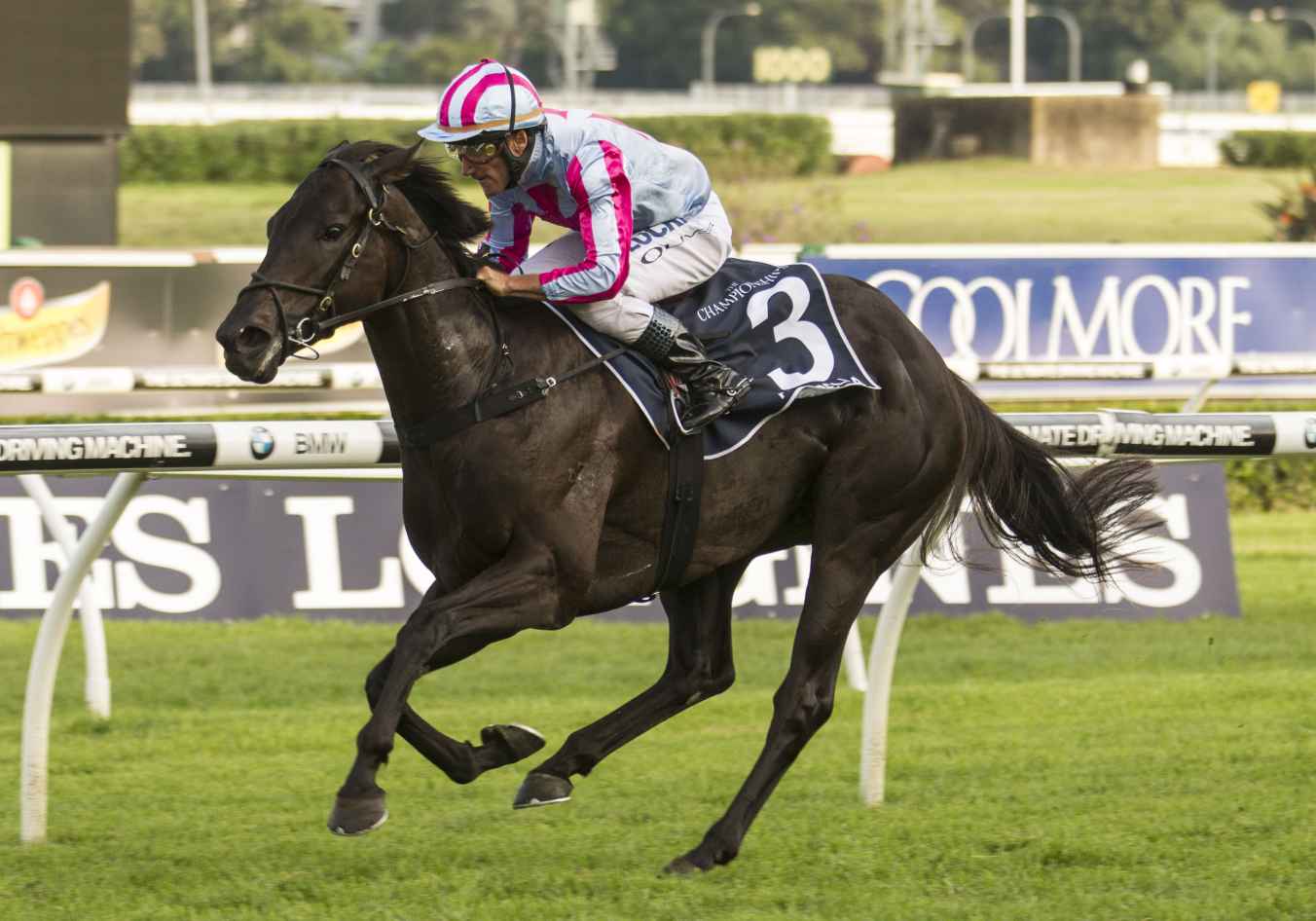 Convicted cocaine dealer claims ownership of Azkadellia