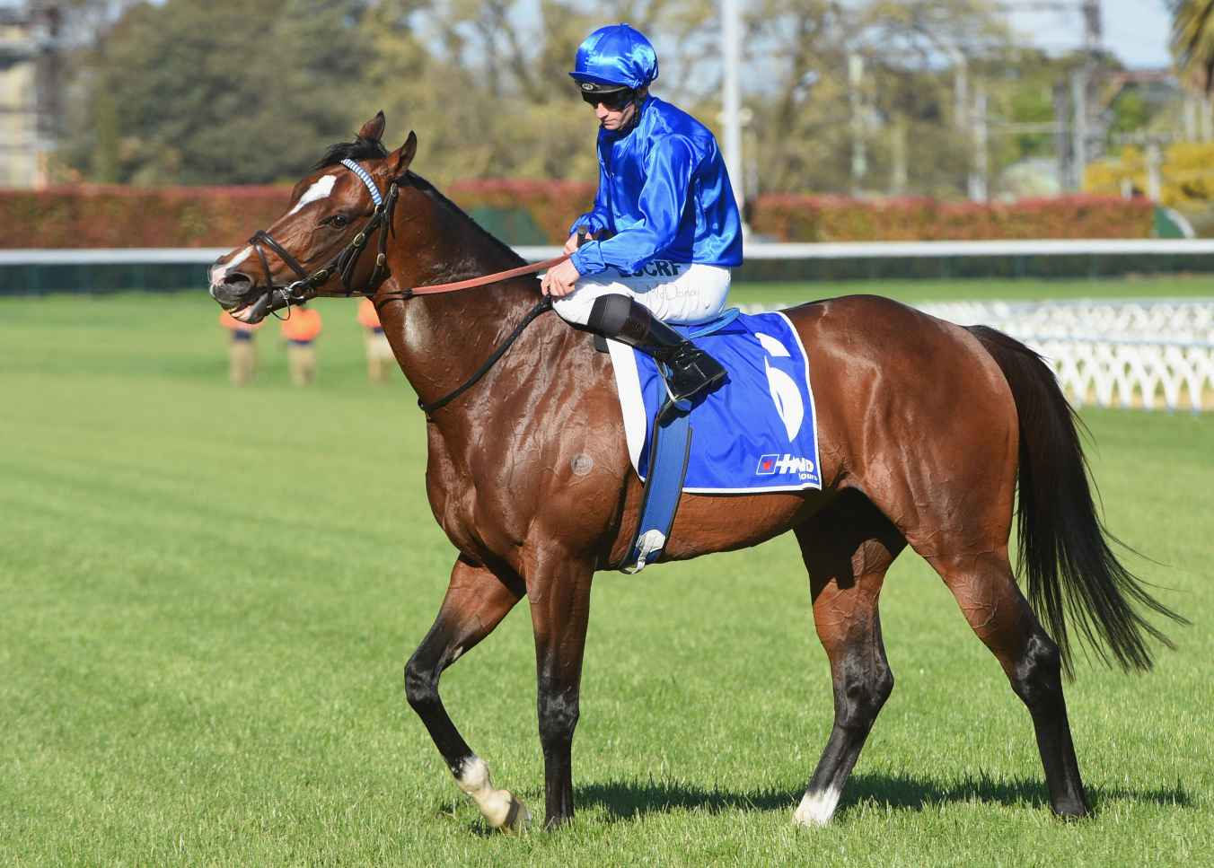 The 2016 stallion class: Top 5 prospects