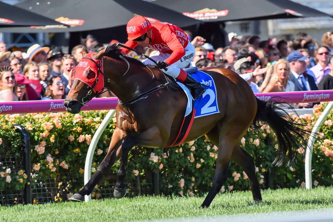 Six of the best horses to come out of the Magic Millions Gold Coast sales