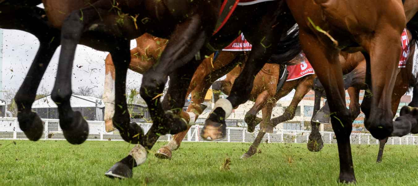 Melbourne Cup 2026 | Horses, Field, Odds, Results